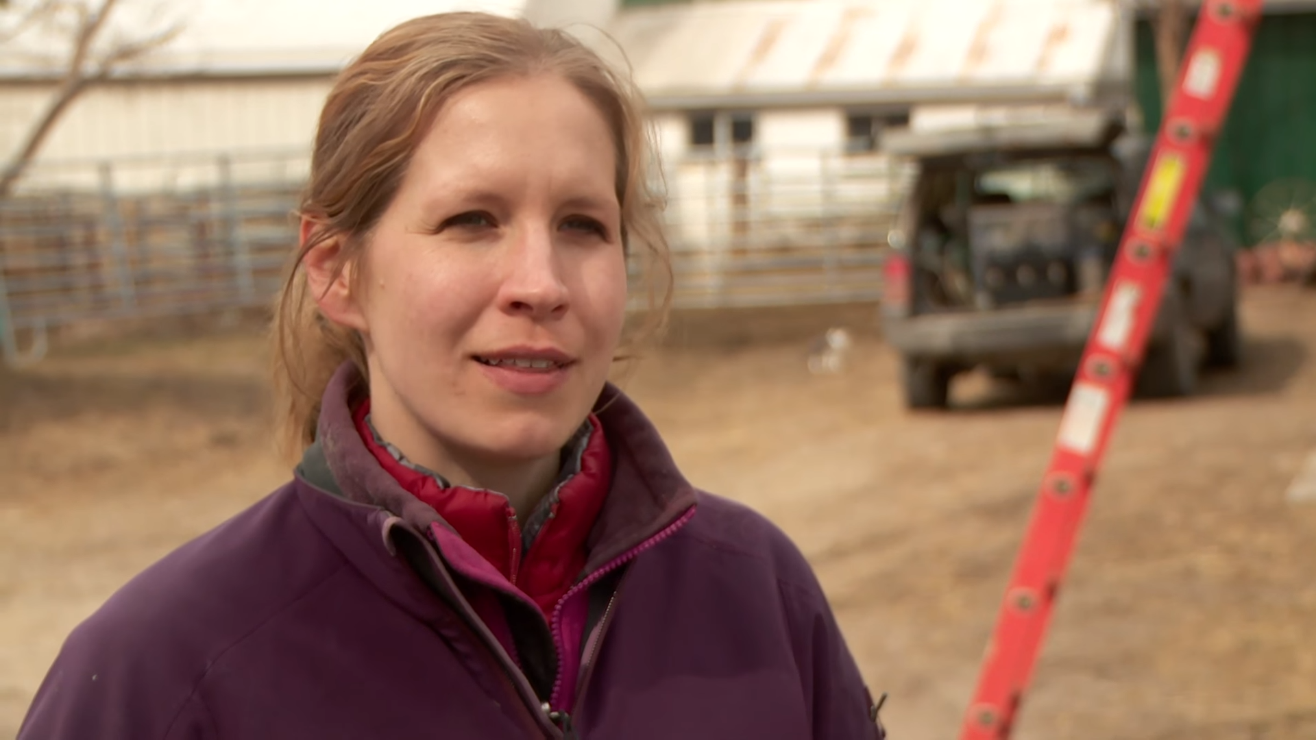 'The Incredible Dr. Pol': The Real Reason Dr. Emily Left