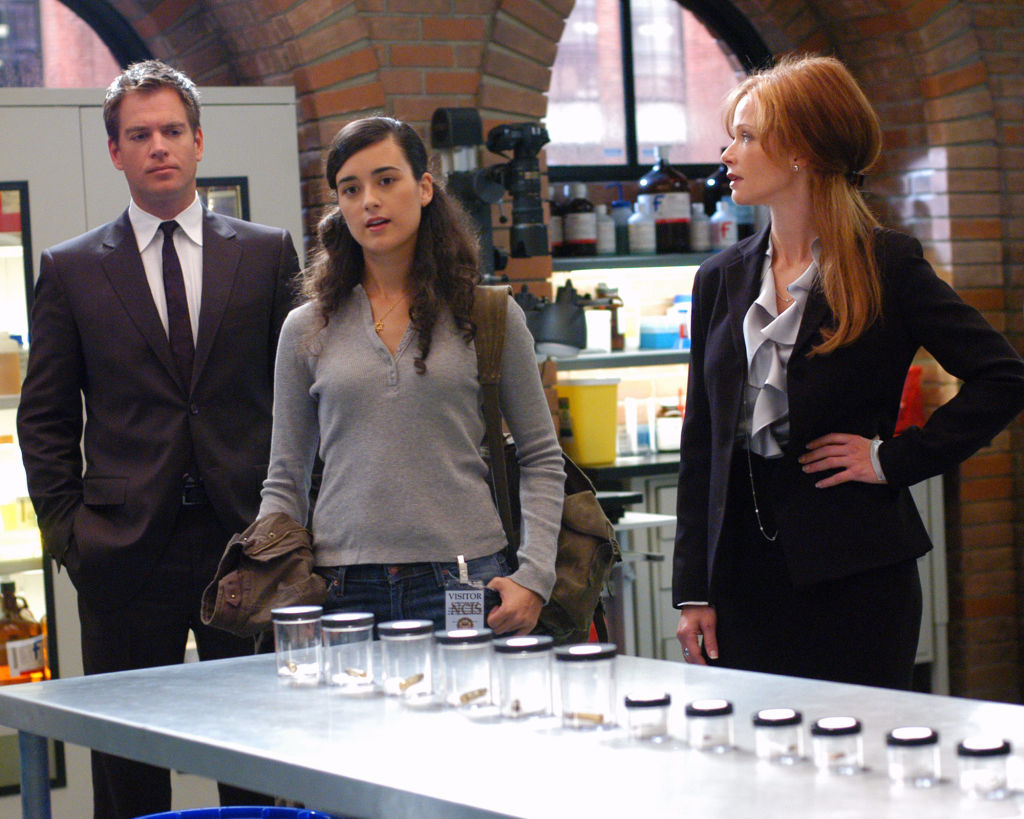 The Practical Joke Michael Weatherly, Lauren Holly Pulled on Mark ...