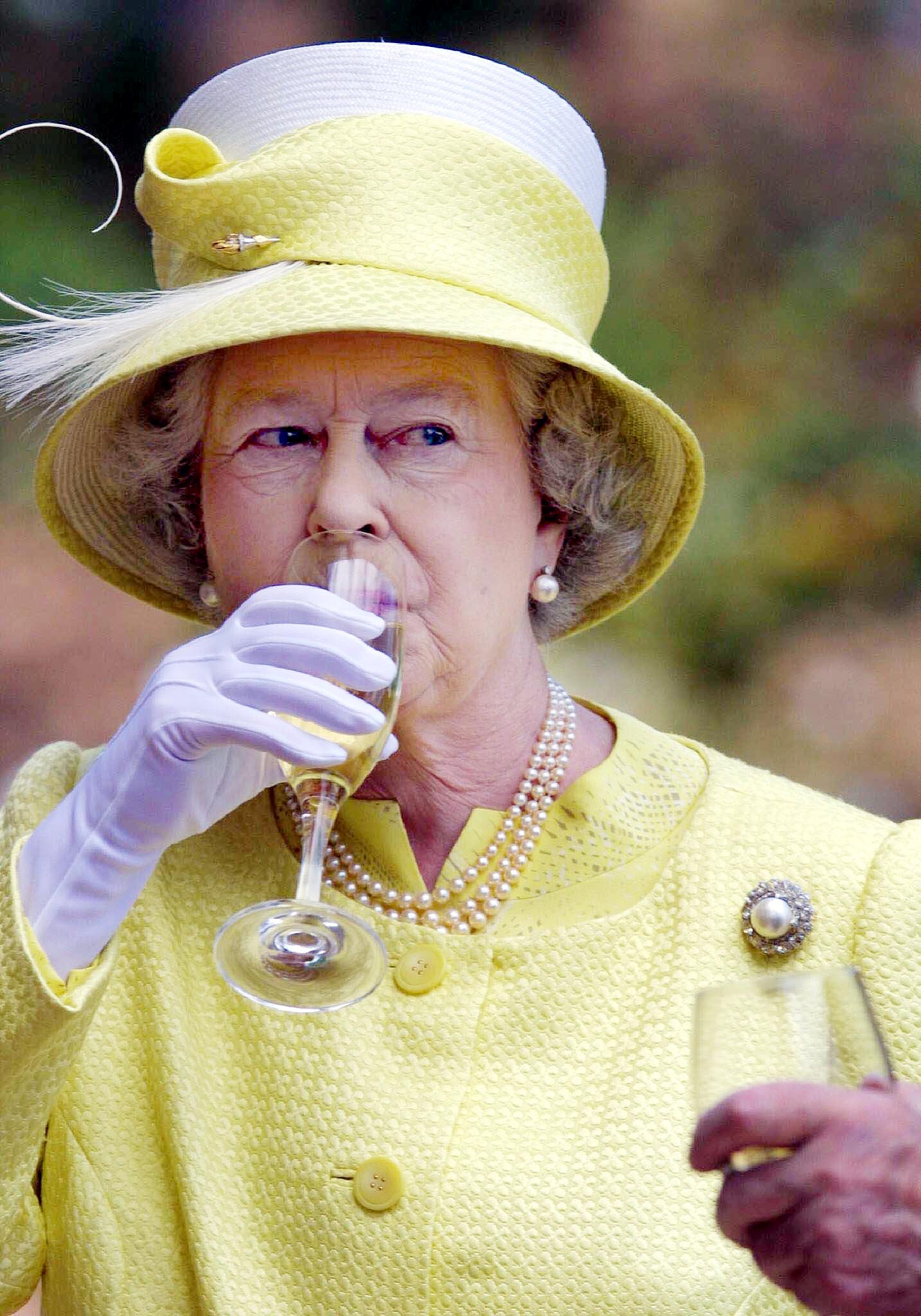 Meghan Markle to Kate Middleton, 8 Photos of Royals Drinking