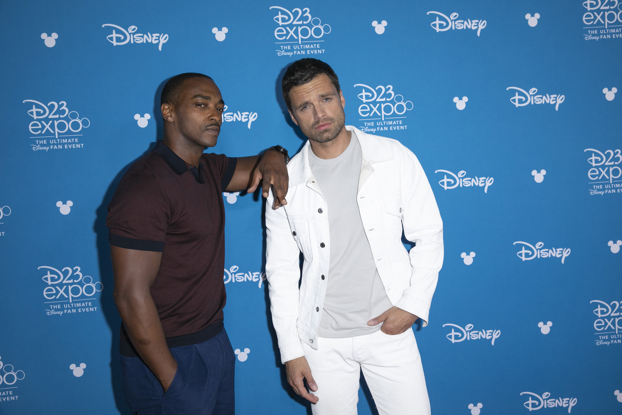 MCU Star Anthony Mackie Tried to Convince Co-Star Sebastian Stan to ...
