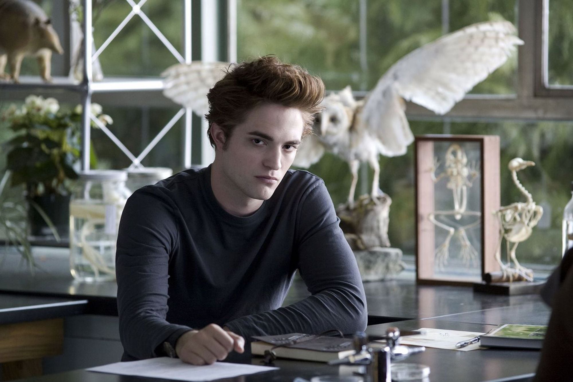 'Midnight Sun' Review; Edward's Story Brings a New, Interesting Angle ...