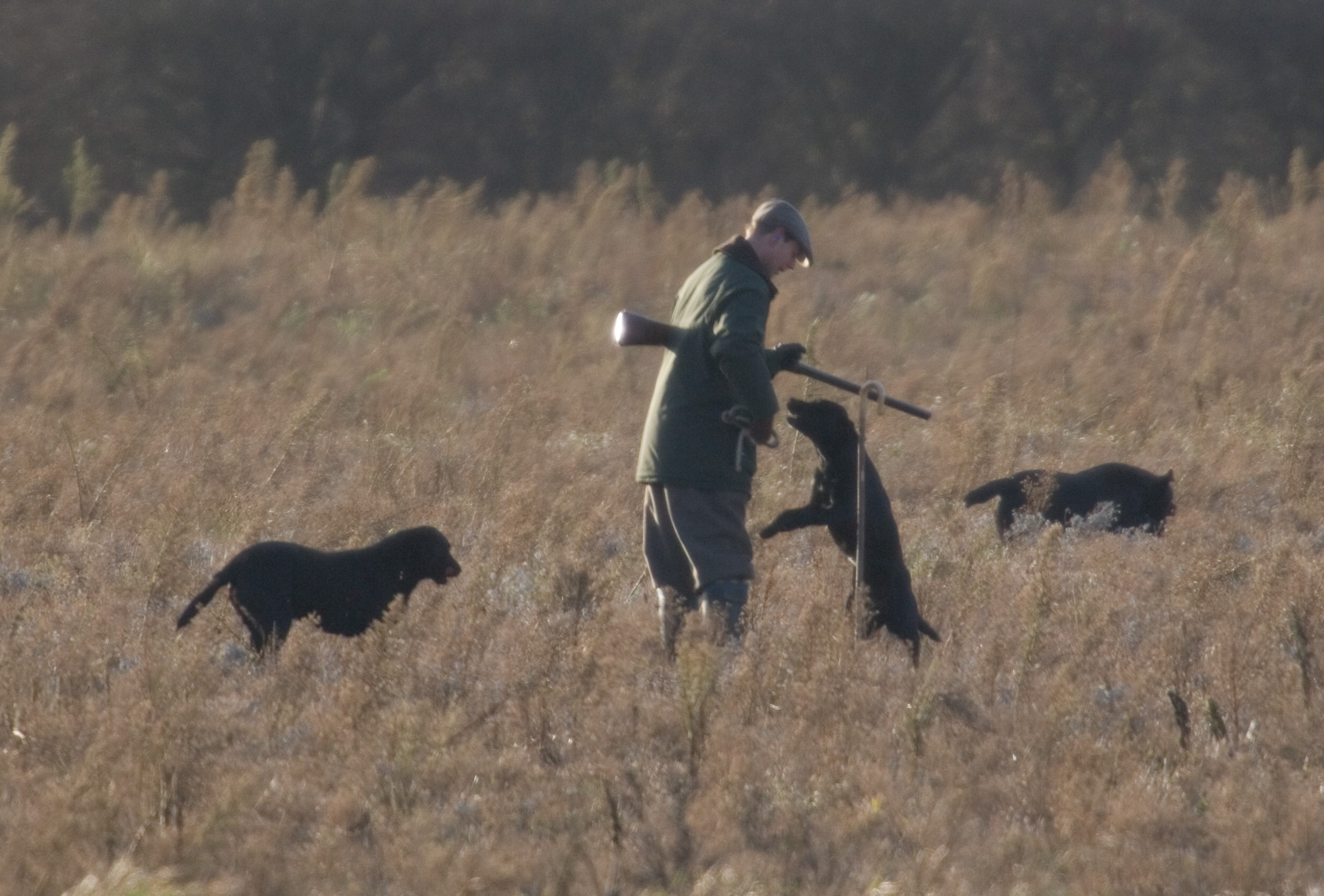 The Queen's Son Prince Edward Angrily Shot Toward Paparazzi During ...