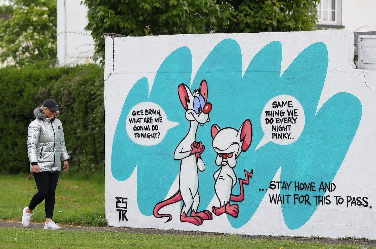 'Animaniacs': The Real-Life Inspiration for 'Pinky and the Brain'