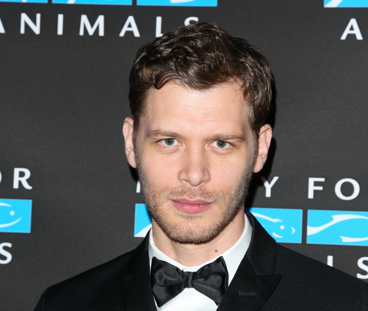 'The Originals': Joseph Morgan Took a Bite Out of a 'Vegan Heart' on ...