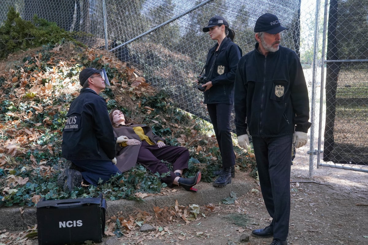 'NCIS': When Does Season 19 Return With New Episodes?
