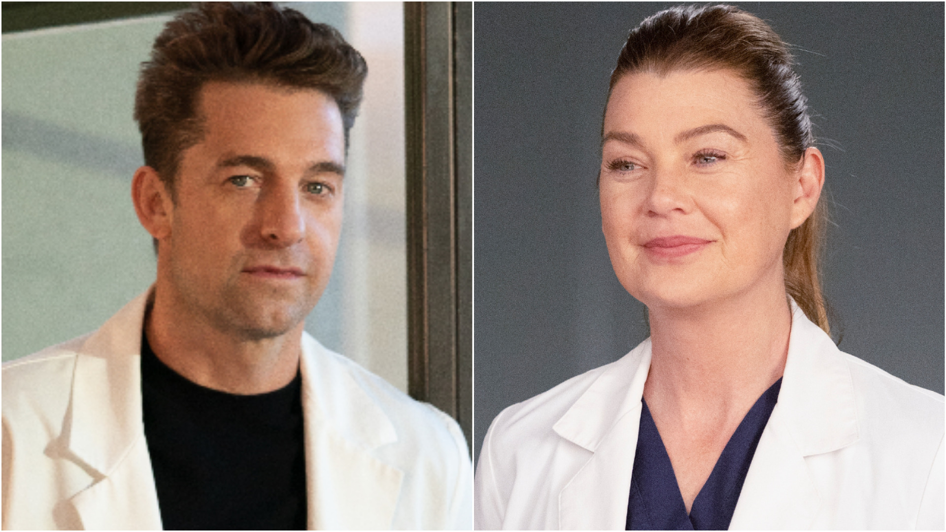 ‘Grey’s Anatomy’: This Nick Marsh and Meredith Grey Fan Theory Will ...