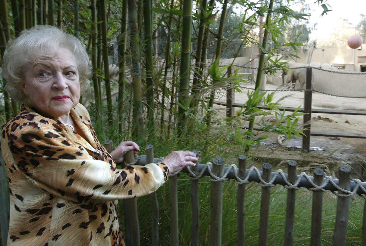 Betty White and the Swimming Pool Duck 'Who Shall Not Be Named'