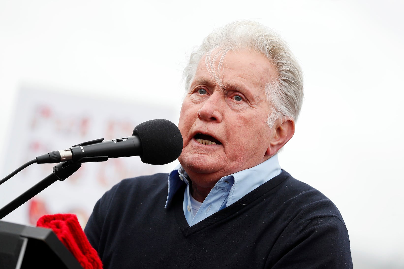 What Is Martin Sheen's Ethnic Background?