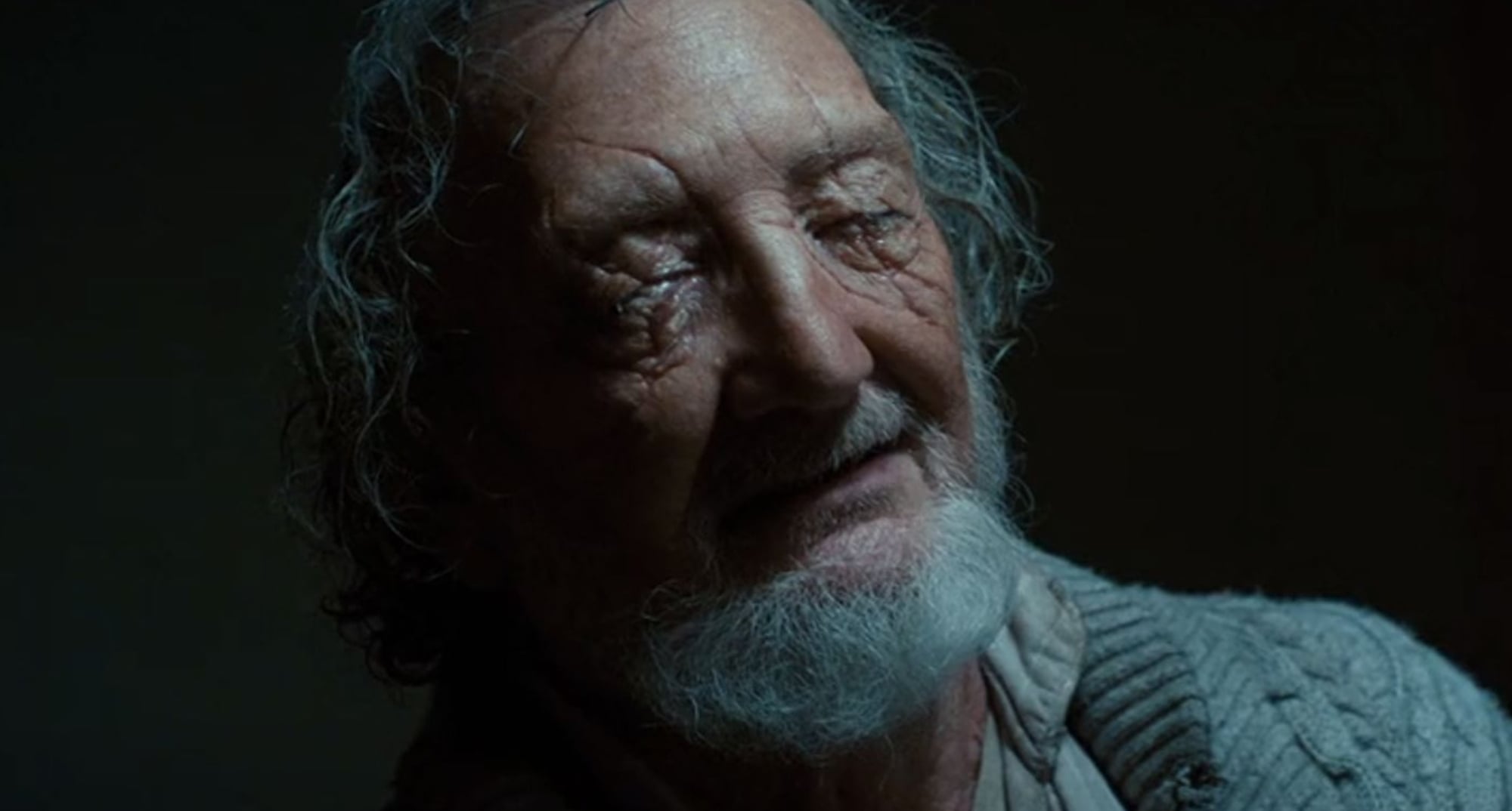 'Stranger Things' Season 4: Robert Englund Has a Profound Theory About ...