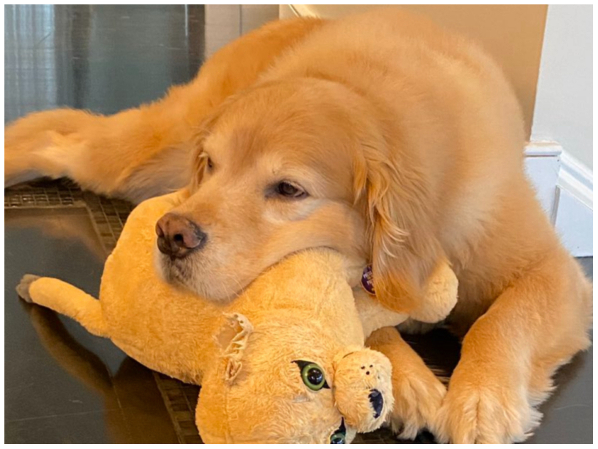 Mike 'The Situation' Sorrentino Was Filming Another MTV Show When His ...