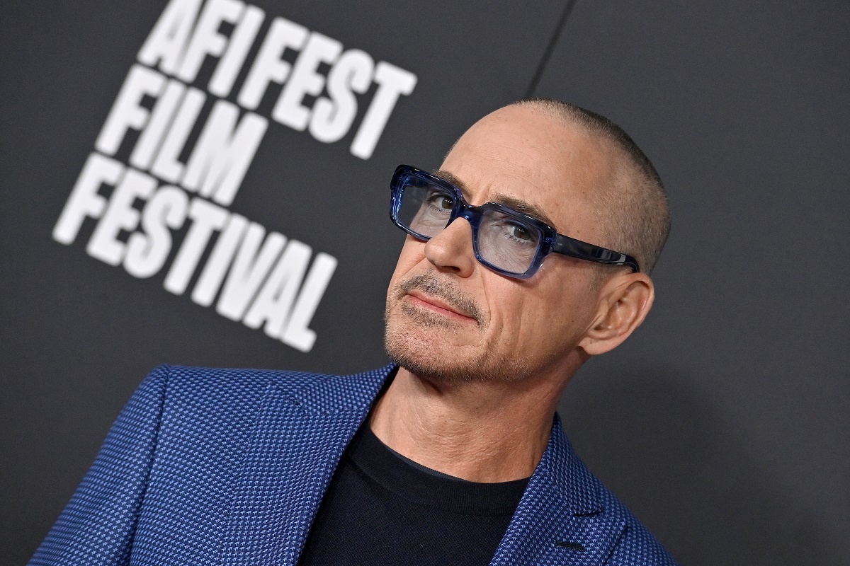 Robert Downey Jr. Once Asked Wesley Snipes for Advice on Doing 'Iron Man'