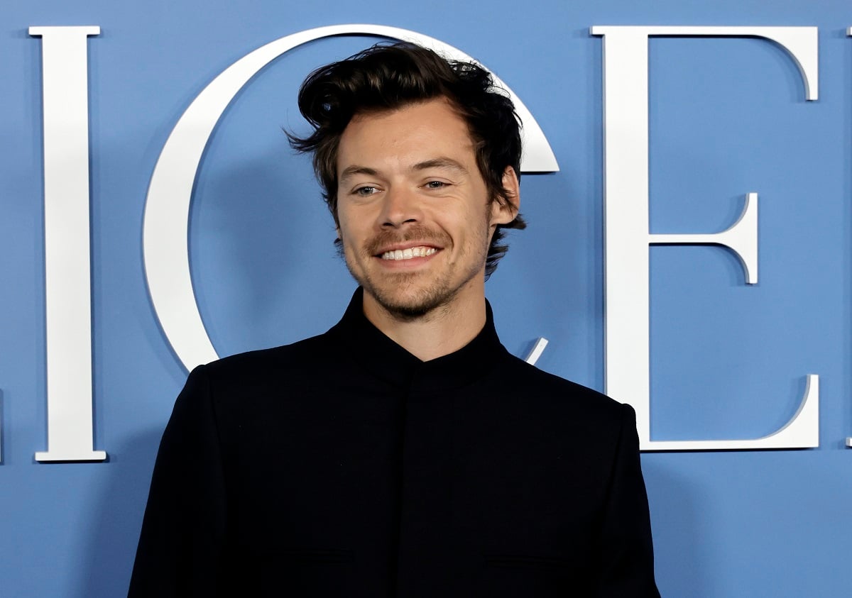 Harry Styles Produced a Short-Lived TV Show Inspired By His Own Life