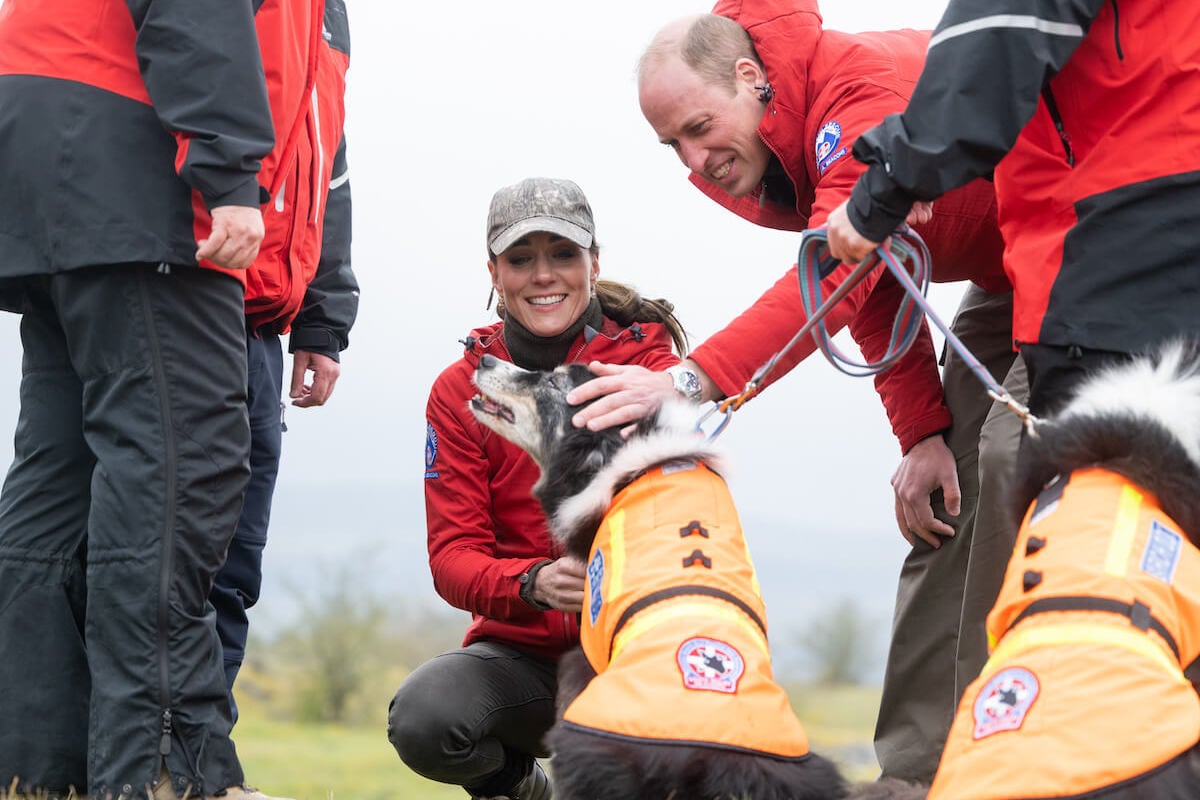 Kate Middleton's 'Impatience Is Clear' in Wales Visit Moment 'Any Dog ...