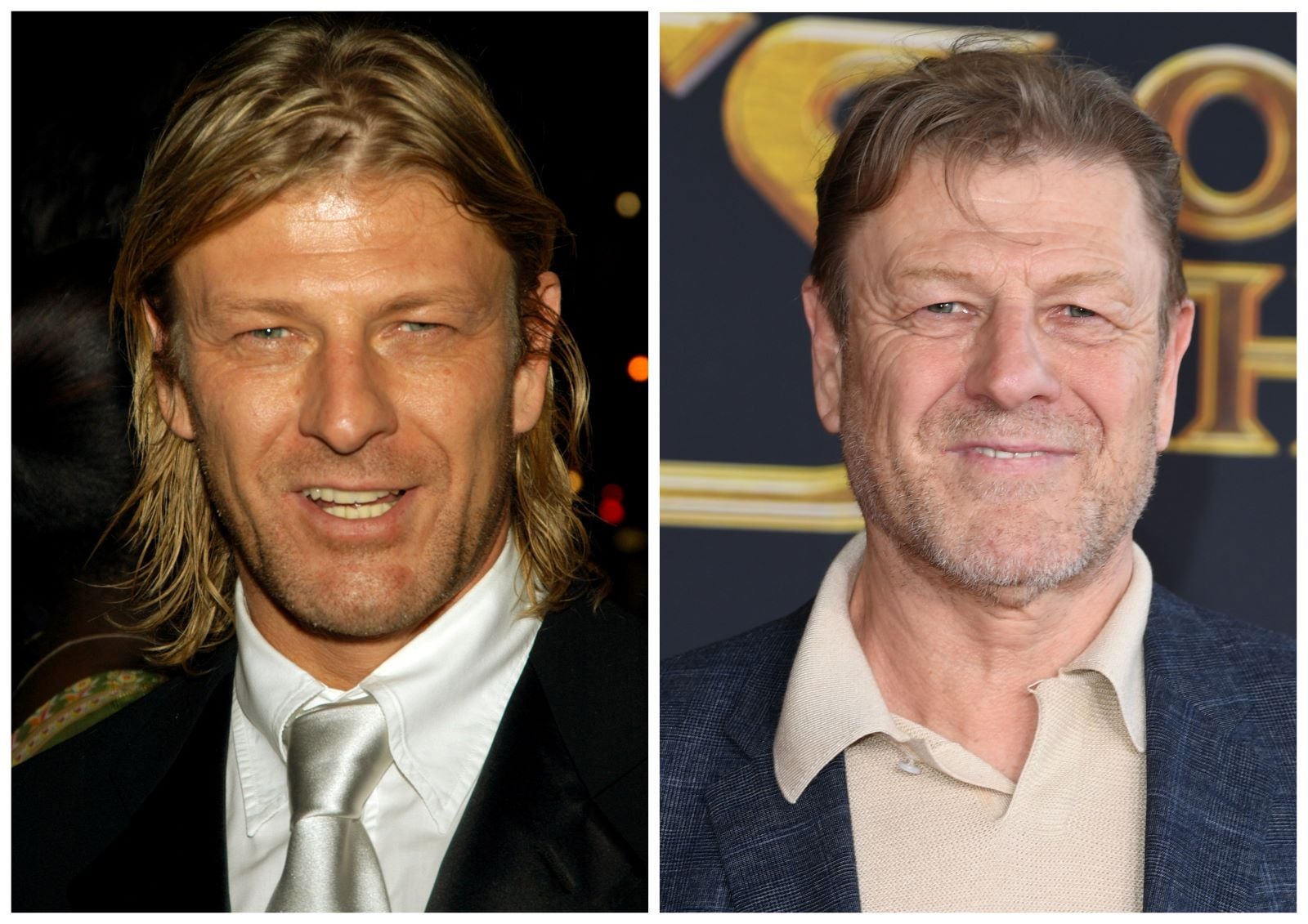 'Troy' Cast Then and Now, 20 Years After the Brad Pitt Epic Premiered