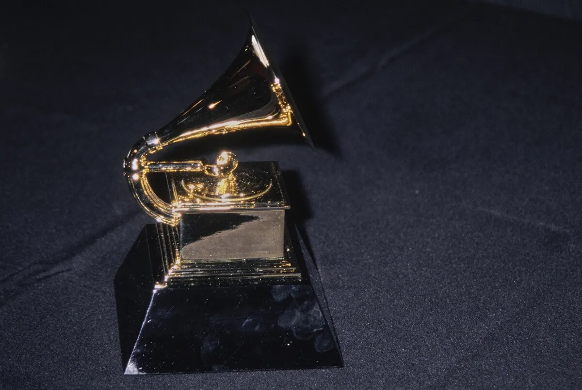 Do Grammys Seat Fillers Get Paid and Are They Allowed to Talk to Any of ...